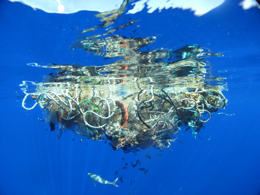 Cuál es el impacto de la destrucción marina en ecosistemas acuáticos