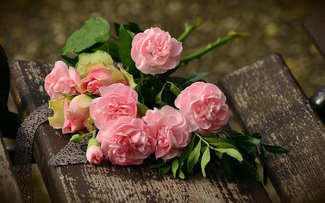 Tipos de Rosas y Significado de sus COLORES | Guía Completa