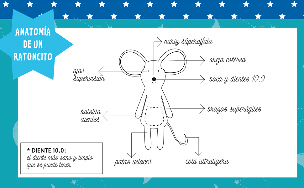 Tipo de avispas: 6 tipos de avispas y sus características