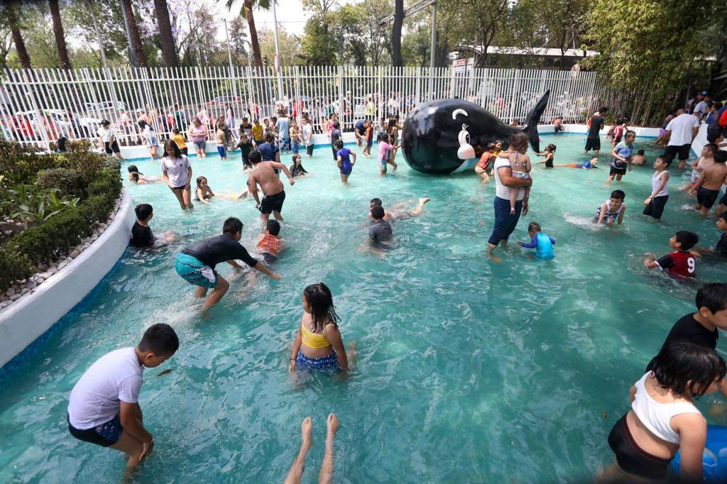Qué son los ammonites y cuál fue su dominio en el mar