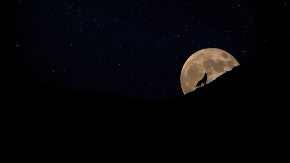 Fases de Luna: Conoce Cuáles son y sus Nombres Esenciales