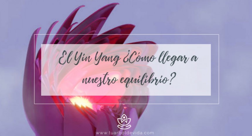 Ceremonial y ritual: significados y costumbres ancestrales